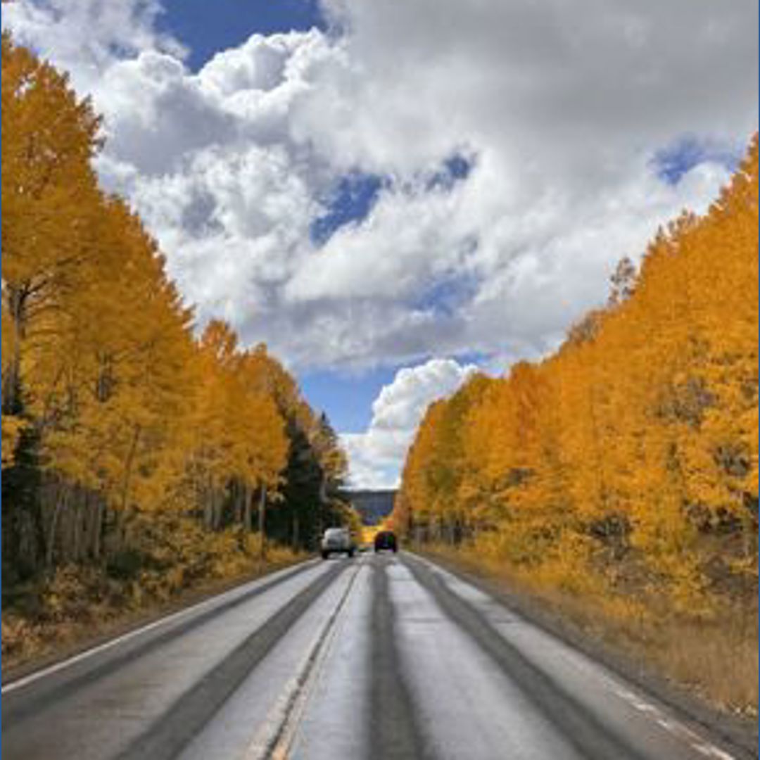 Colorado fall colors arrive early amid drought conditions: 2025 aspen ...