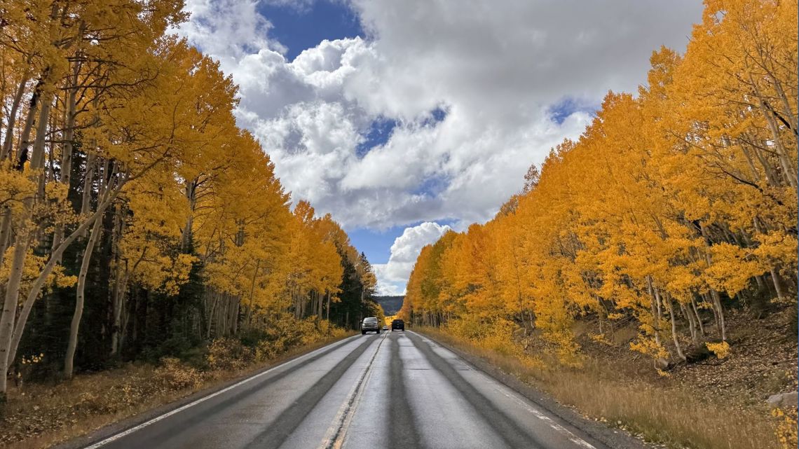 Colorado fall colors arrive early amid drought conditions: 2025 aspen ...