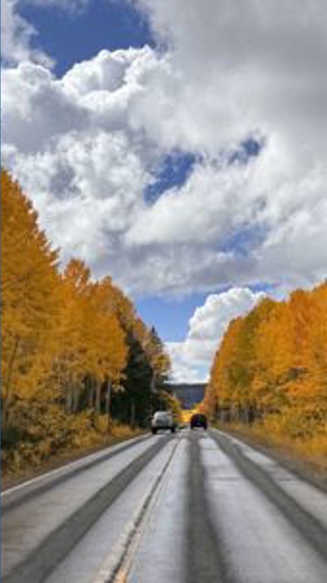 Colorado fall colors arrive early amid drought conditions: 2025 aspen ...