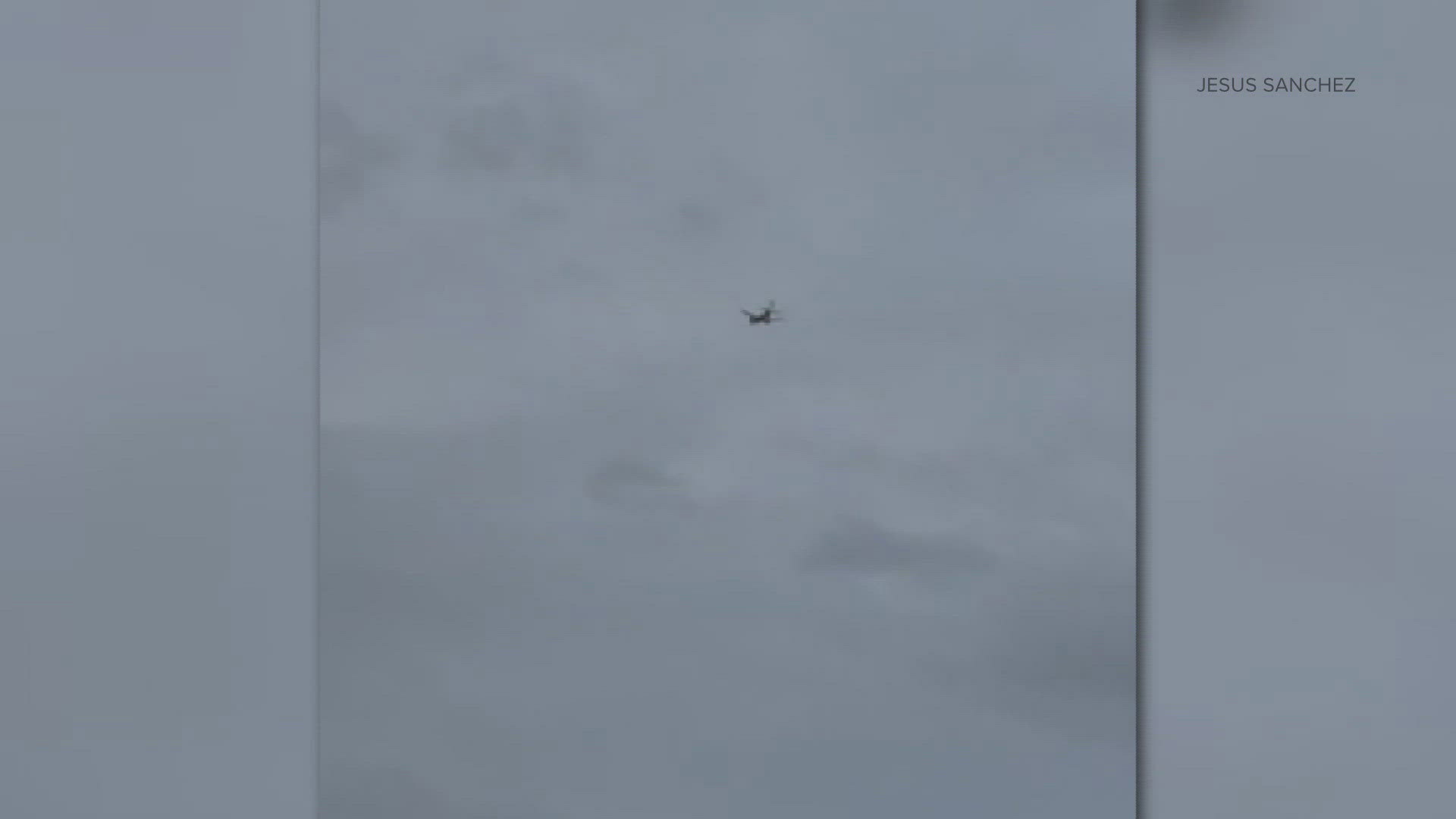 United flight from Denver to Edmonton returns to DIA, possible wildlife ...