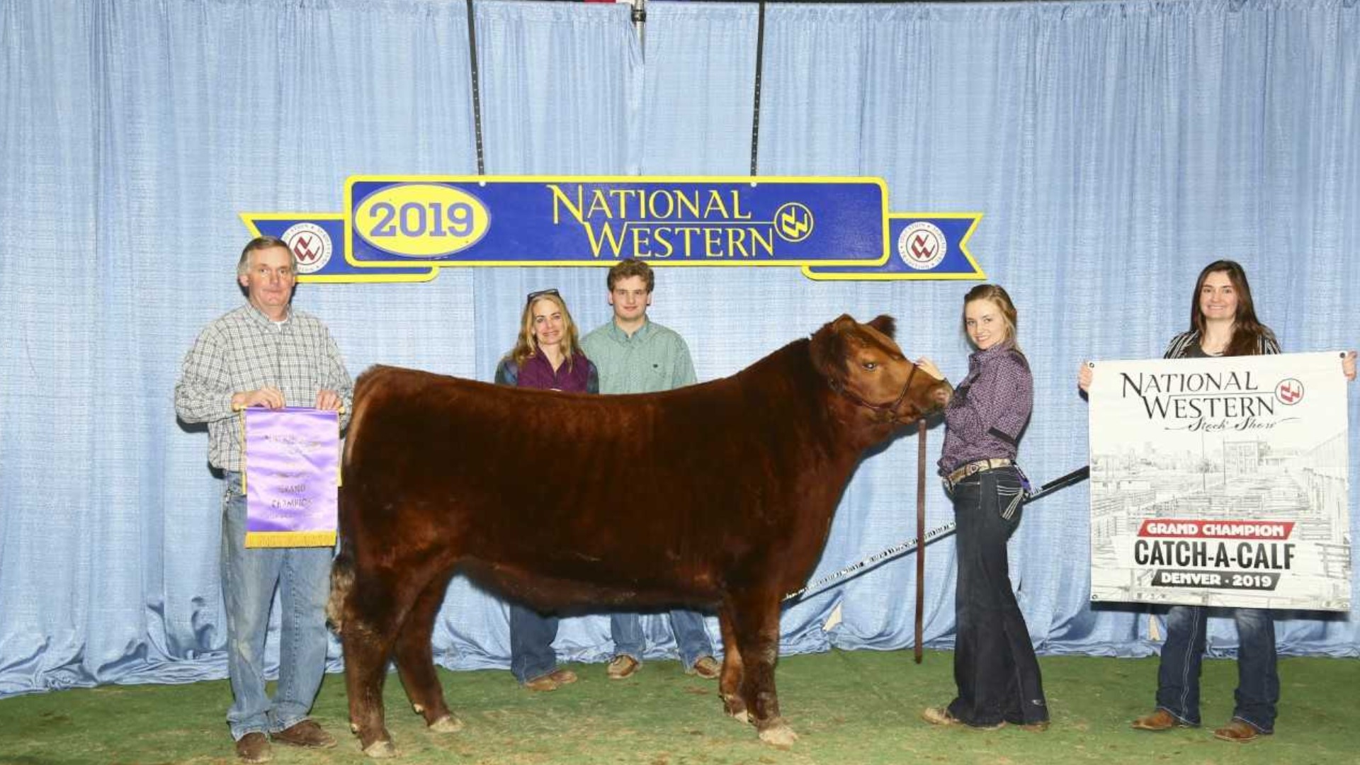 Record-setting year at the Junior Livestock Auction | 9news.com