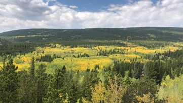 Old Fall River Road reopens in Rocky Mountain National Park | 9news.com