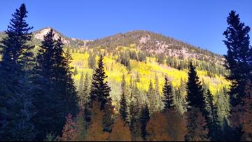 Colorado fall colors guide: When and where leaves peak in 2021 | 9news.com
