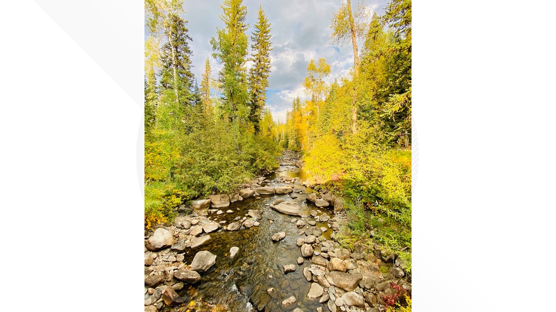 Old Fall River Road reopens in Rocky Mountain National Park | 9news.com
