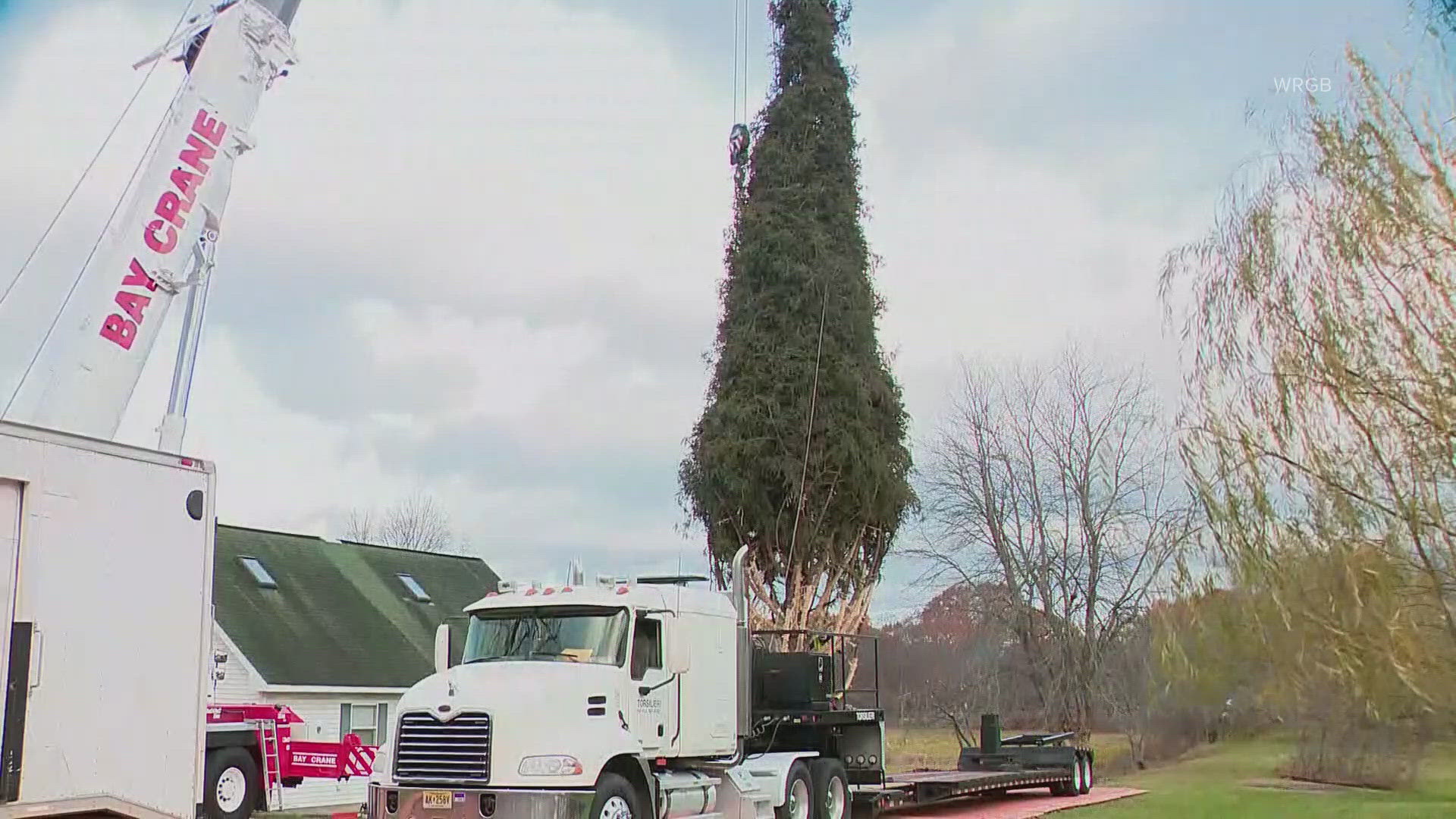 Rockefeller Center reveals this year's Christmas Tree selection | 9news.com
