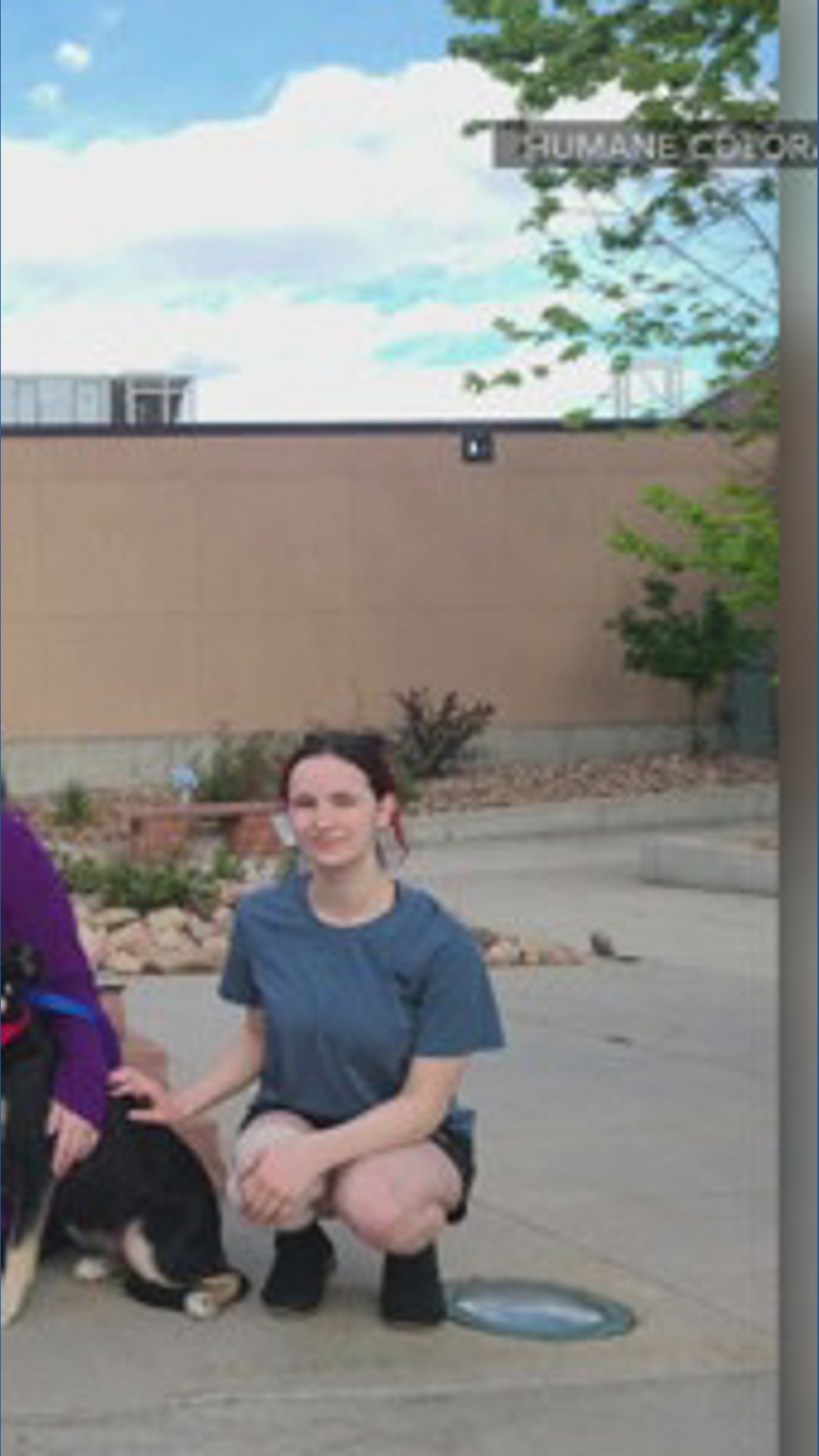 All dogs at Humane Colorado's Furry Scurry have been adopted | 9news.com
