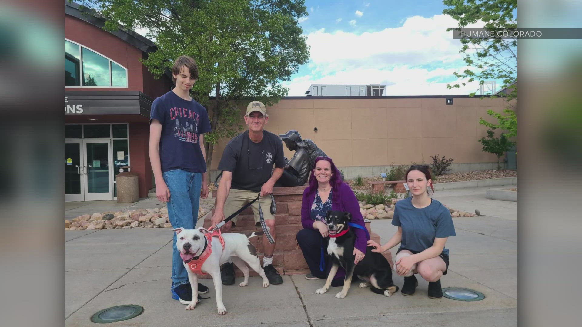 All dogs at Humane Colorado's Furry Scurry have been adopted | 9news.com