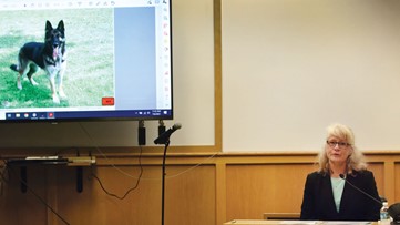 Mark Redwine trial: Recap of testimony from prosecution, defense ...