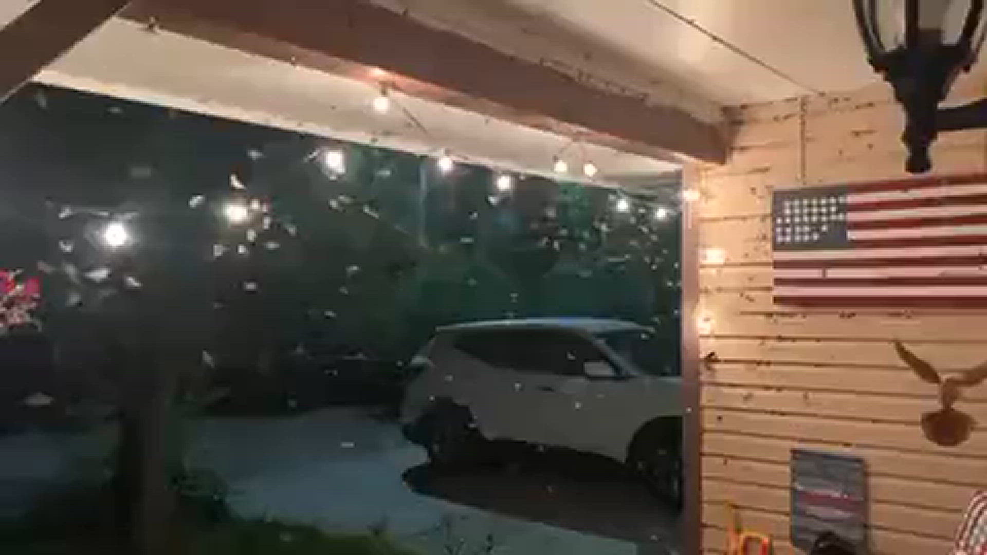 Miller Moths! | 9news.com