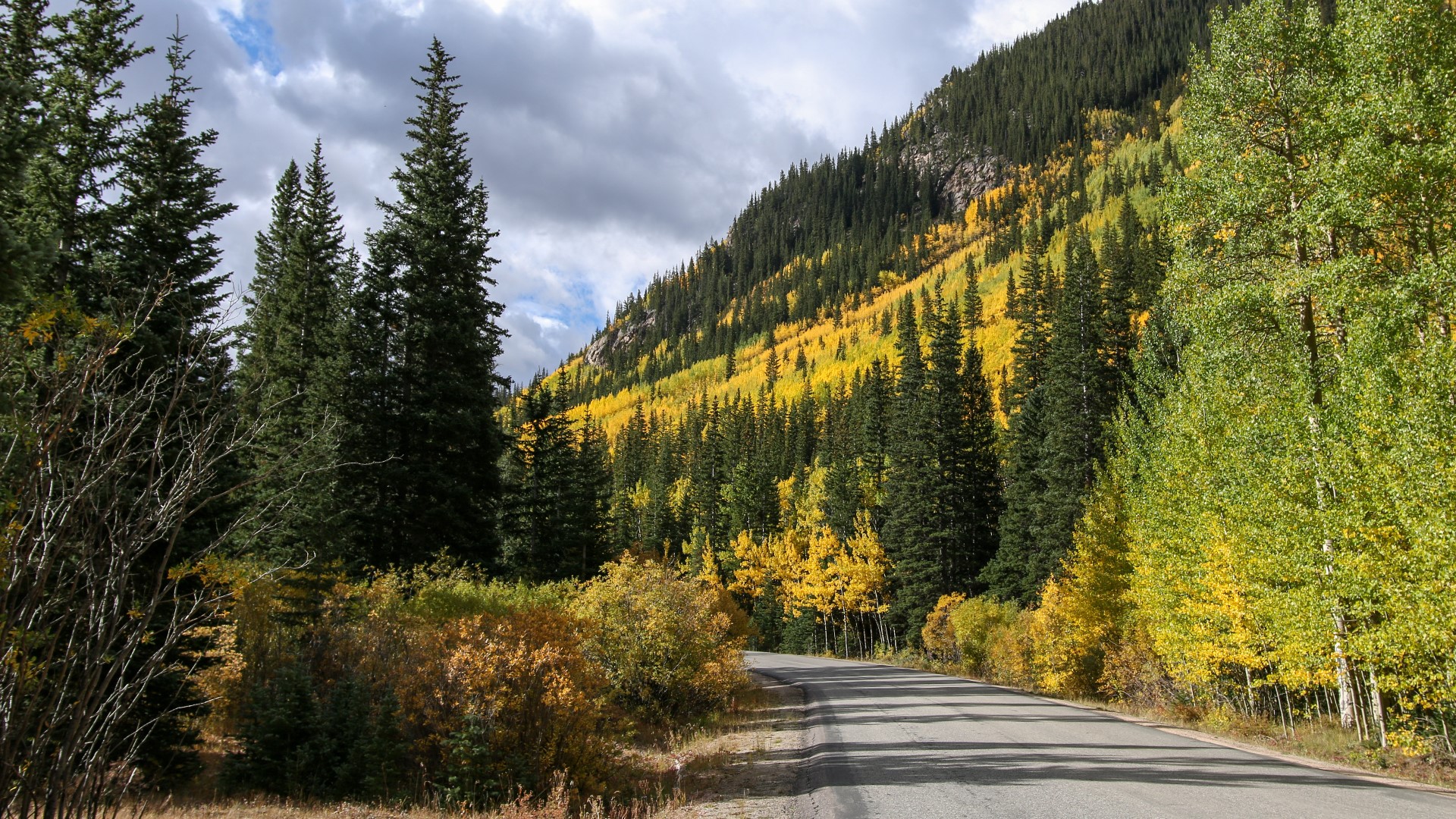 Colorado fall colors: When and where leaves will peak in 2020 | 9news.com