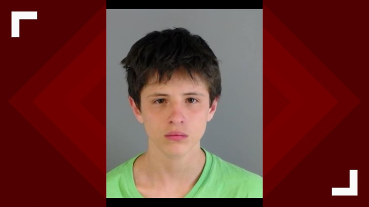 Teen sentenced to life with possibility of parole for murder of 10-year ...