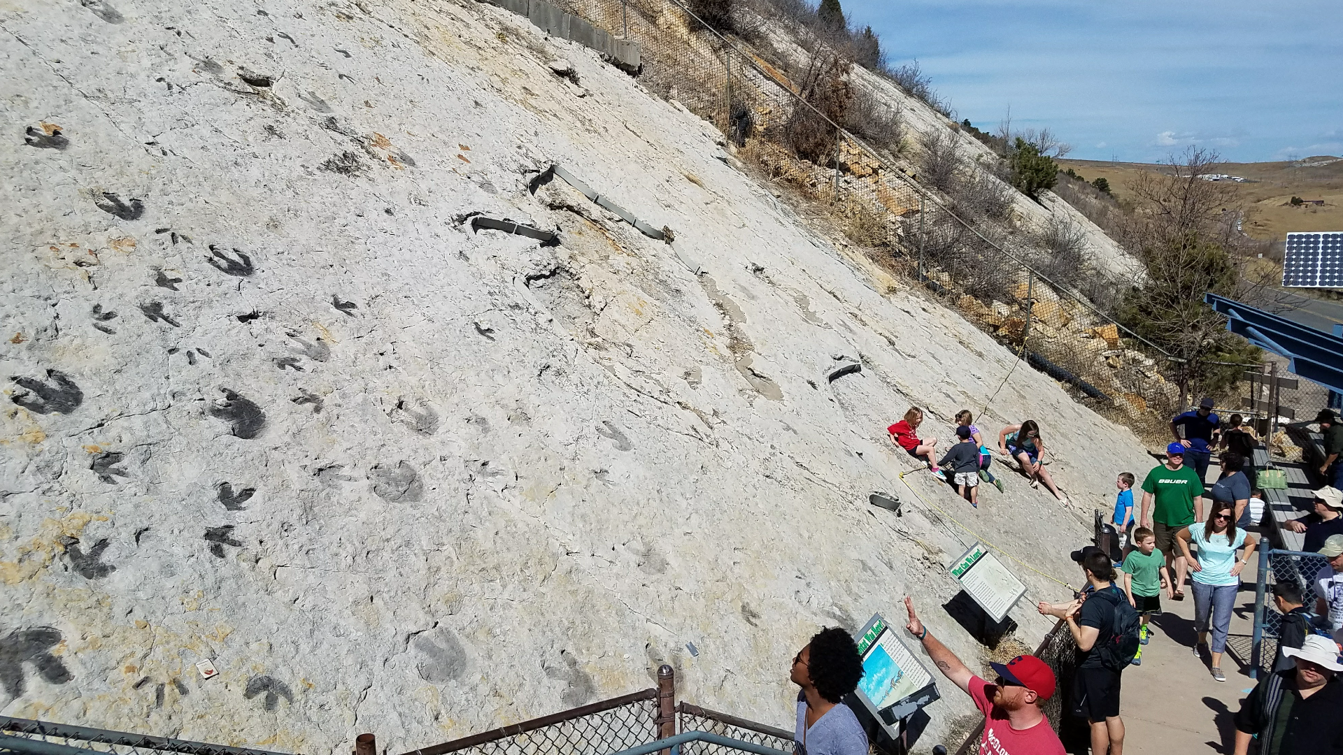 Stegosaurus fossil dinosaur license plate approved in Colorado | 9news.com