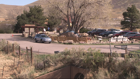 Stegosaurus fossil dinosaur license plate approved in Colorado | 9news.com