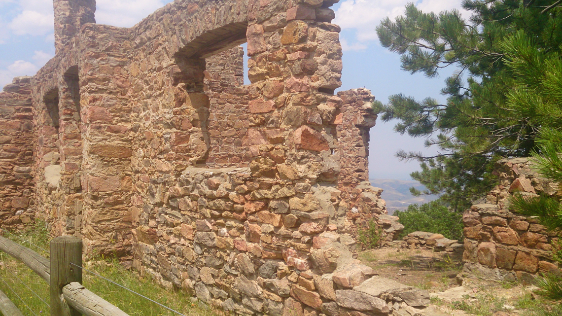 Stegosaurus fossil dinosaur license plate approved in Colorado | 9news.com