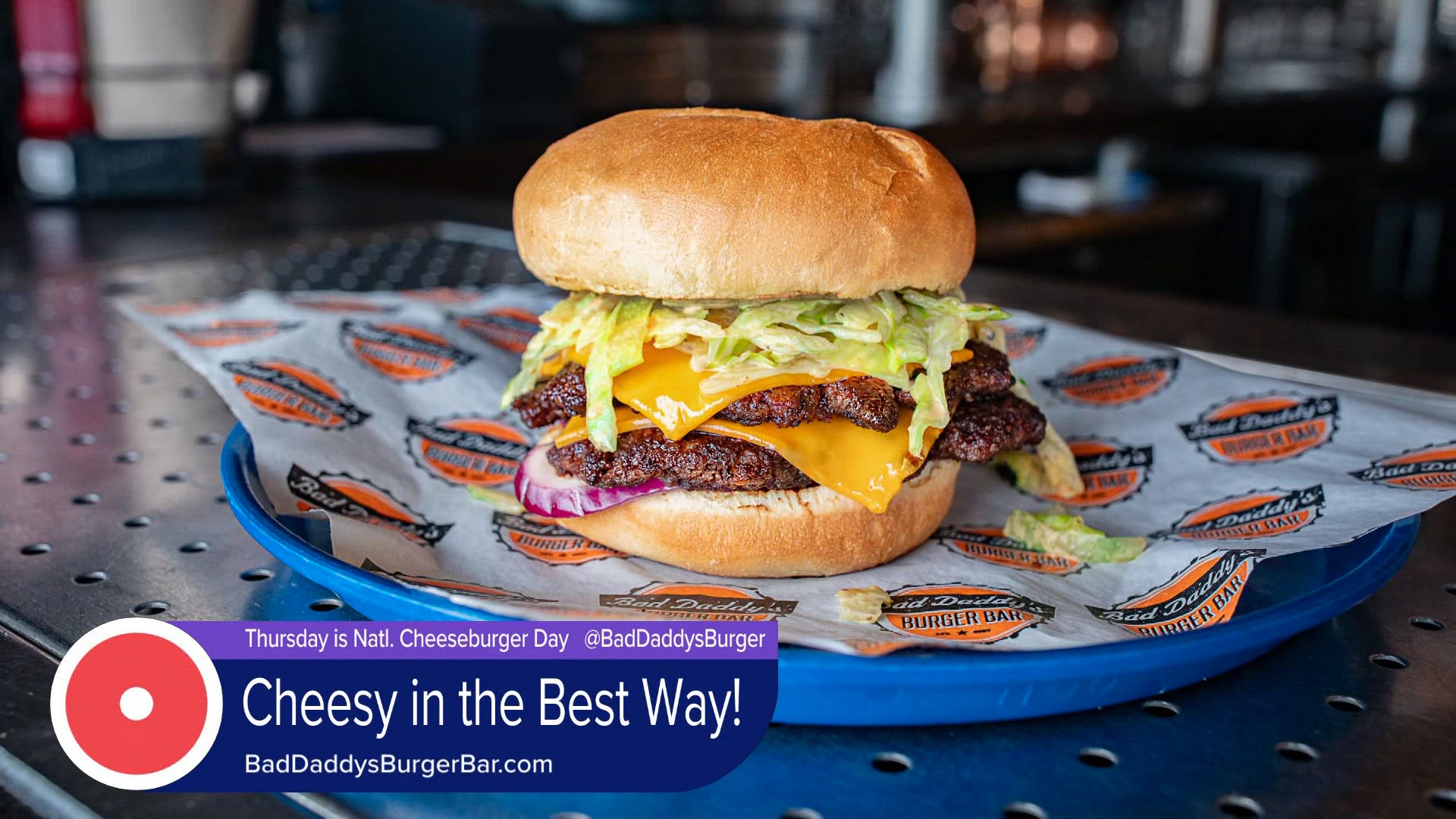 National Cheeseburger Day at Bad Daddy's Burger Bar | 9news.com