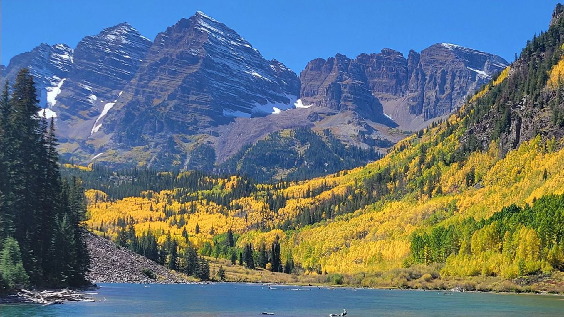 Colorado fall colors: When and where are the best yellow leaves ...