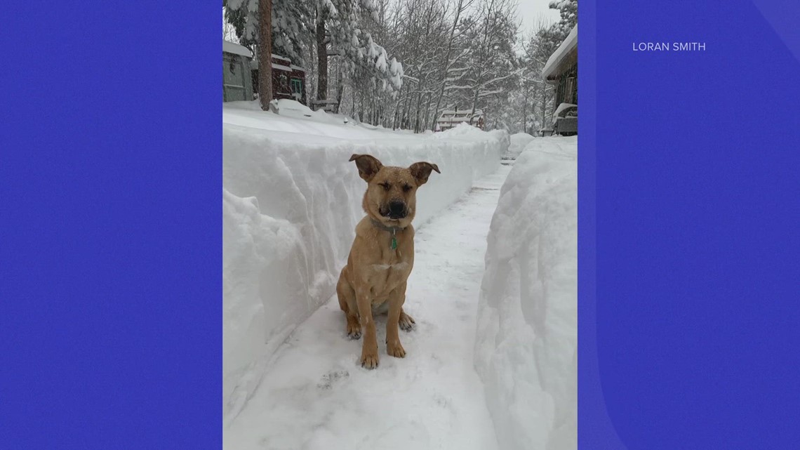 Colorado seeing crazy snow totals as major snowstorm moves into second ...
