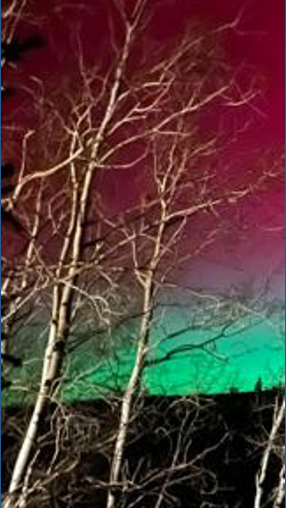 Were the northern lights visible in Colorado on Wednesday night ...