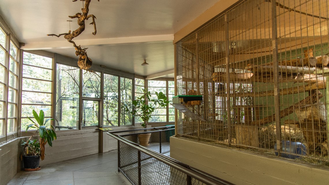 Cheyenne Mountain Zoo to remove Monkey Pavilion in Nov. 2020 | 9news.com