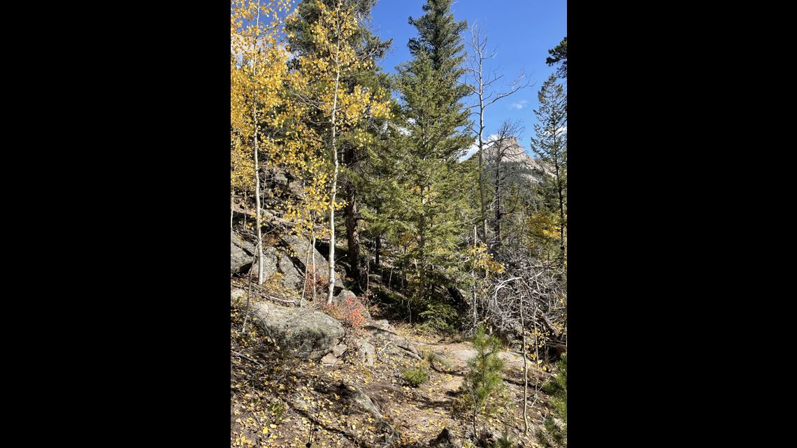 Fall leaves in Colorado: Guide to changing colors in 2024 | 9news.com