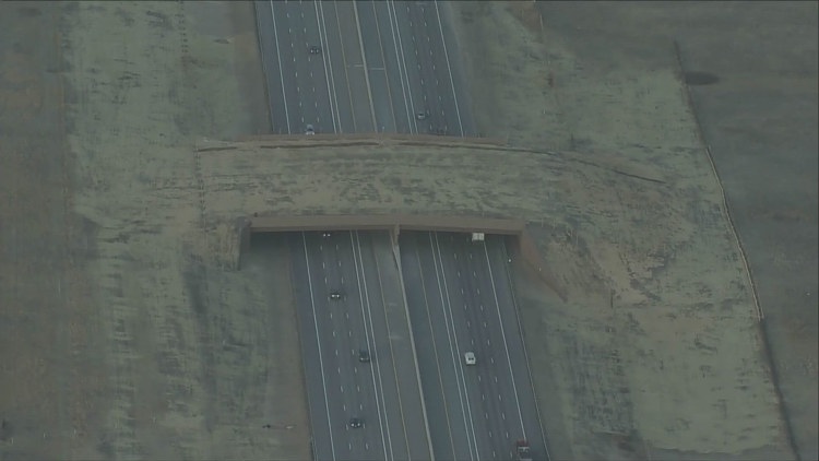 North America’s largest wildlife overpass completed in Colorado | 9news.com