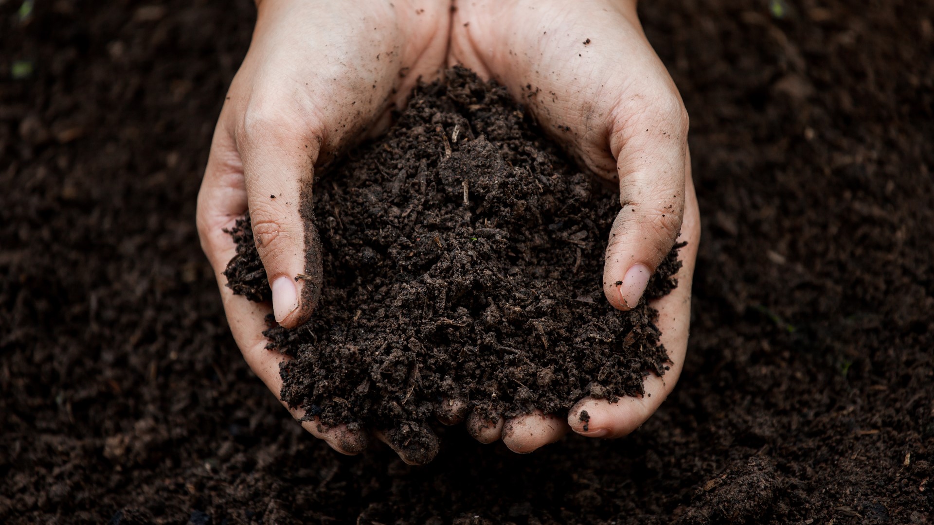 Human composting now legal in Colorado | 9news.com