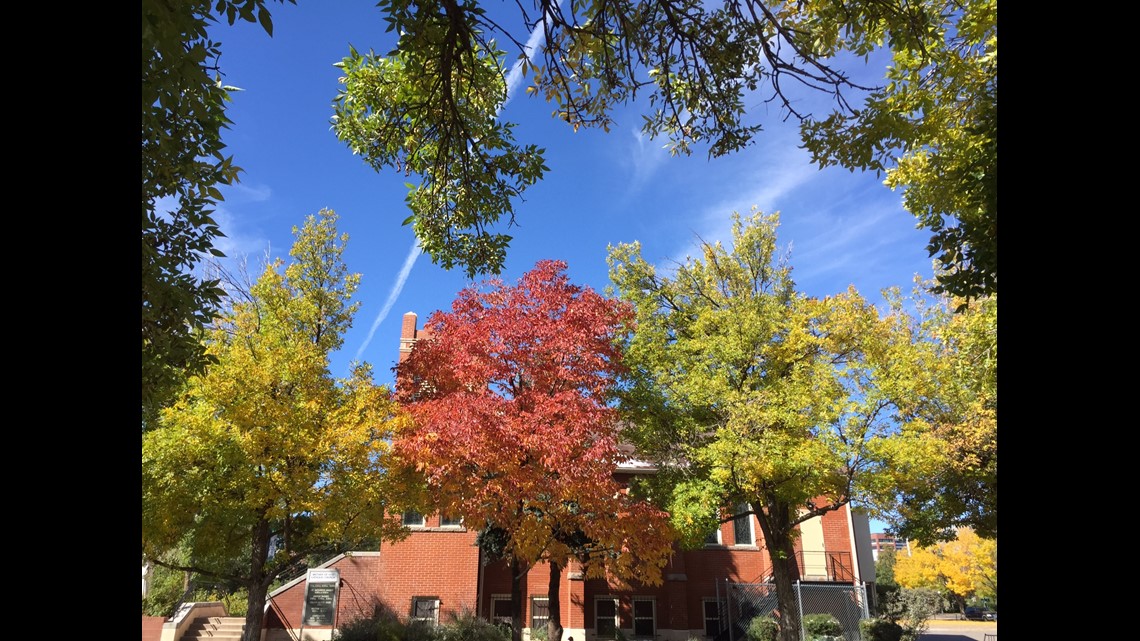 9 awesome walks to see fall colors in and around Denver | 9news.com