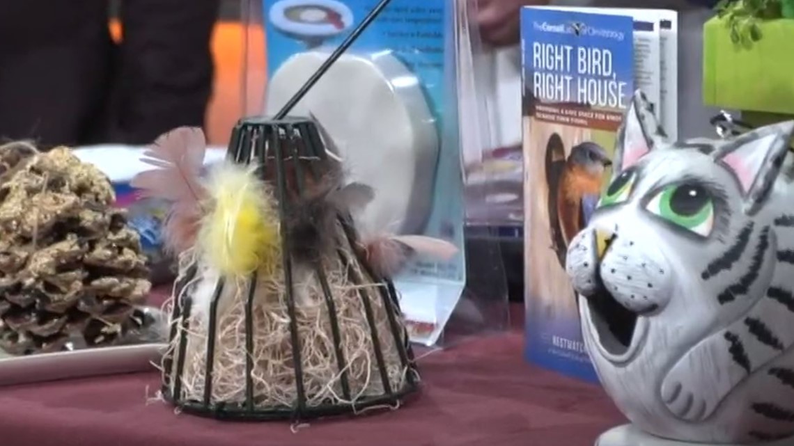 Proctor's Garden: Ways to help backyard birds this winter | 9news.com