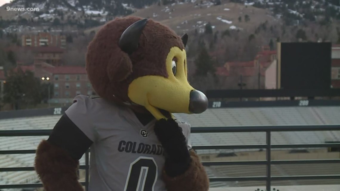 Chip the Champion: CU's mascot brings home 3rd national title | 9news.com