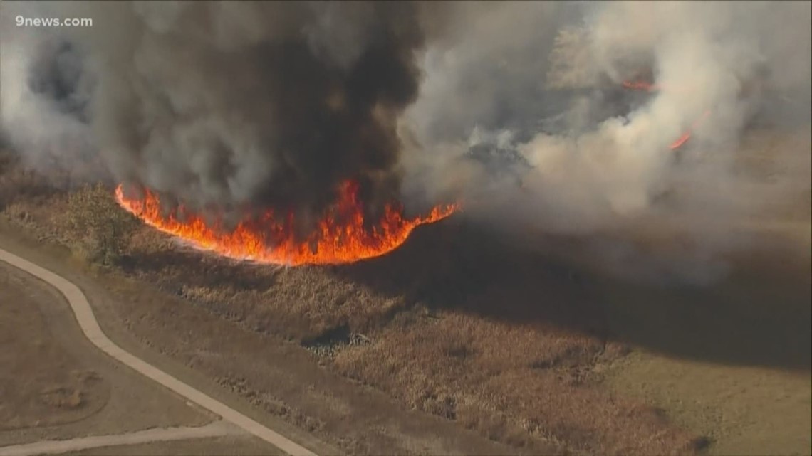 Police questioning 3 juveniles in connection to grass fire in ...
