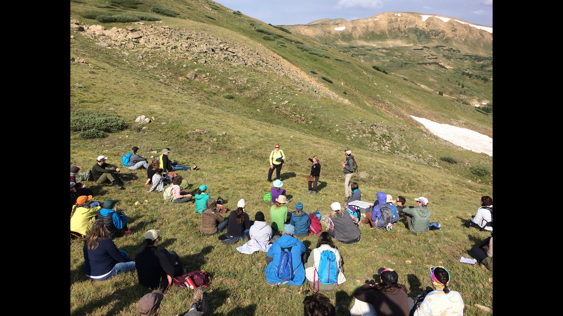 Pika conservation project goes statewide, needs volunteers | 9news.com