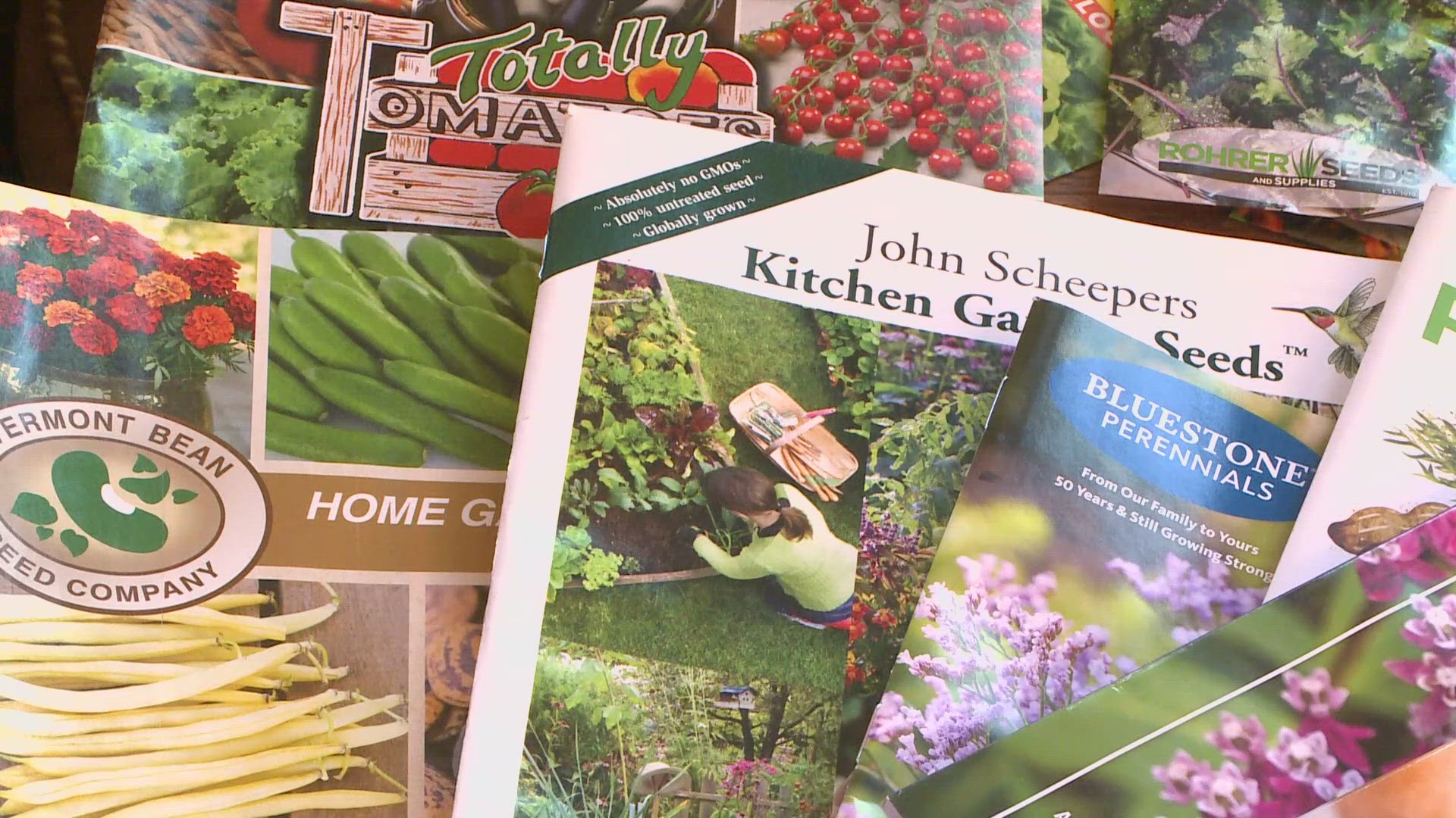 Why buying seeds from catalogs is a great option for gardeners | 9news.com