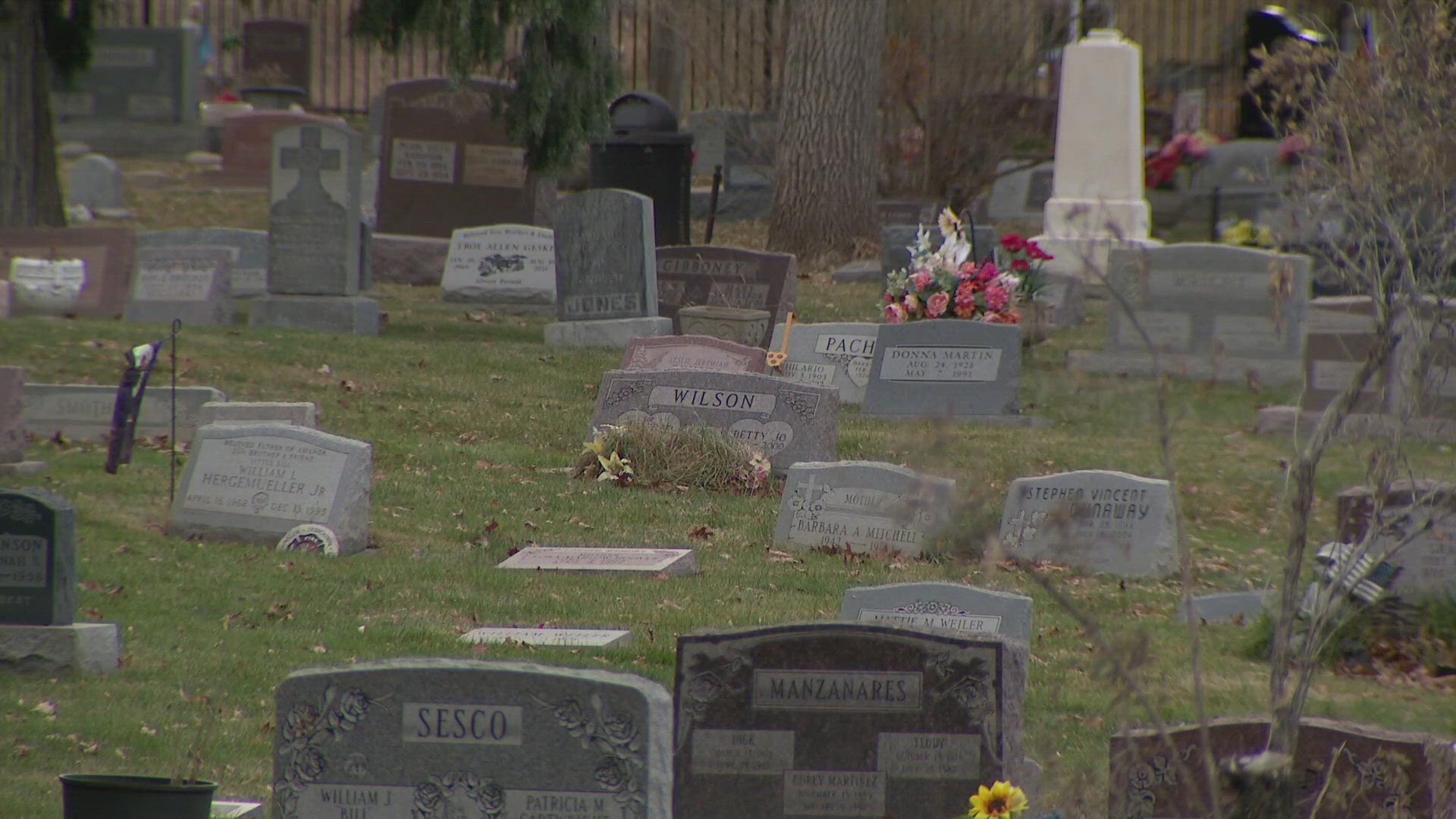 Coffin burials on hold after unexpected remains uncovered at Lafayette ...