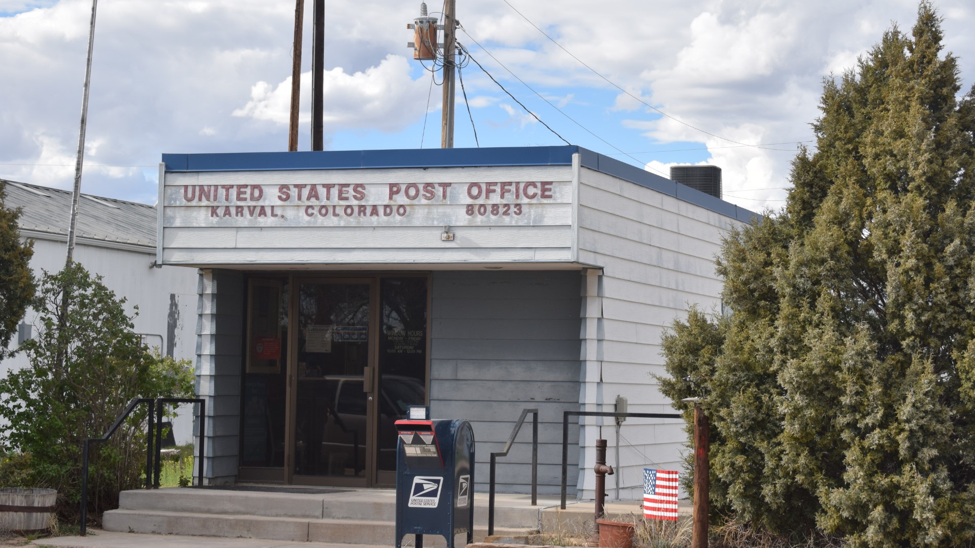 Mountain Plover Festival brings birders to small Colorado town | 9news.com