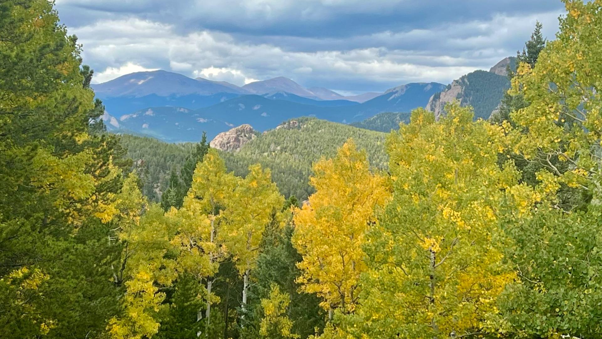 9 drives where you can see yellow fall colors in Colorado | 9news.com