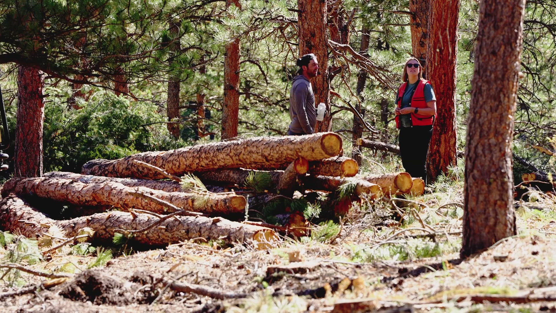 Nonprofit continues private land fire mitigation projects despite ...