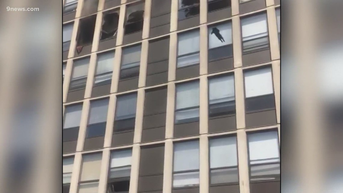 Cat takes 5 story leap from a burning building | 9news.com