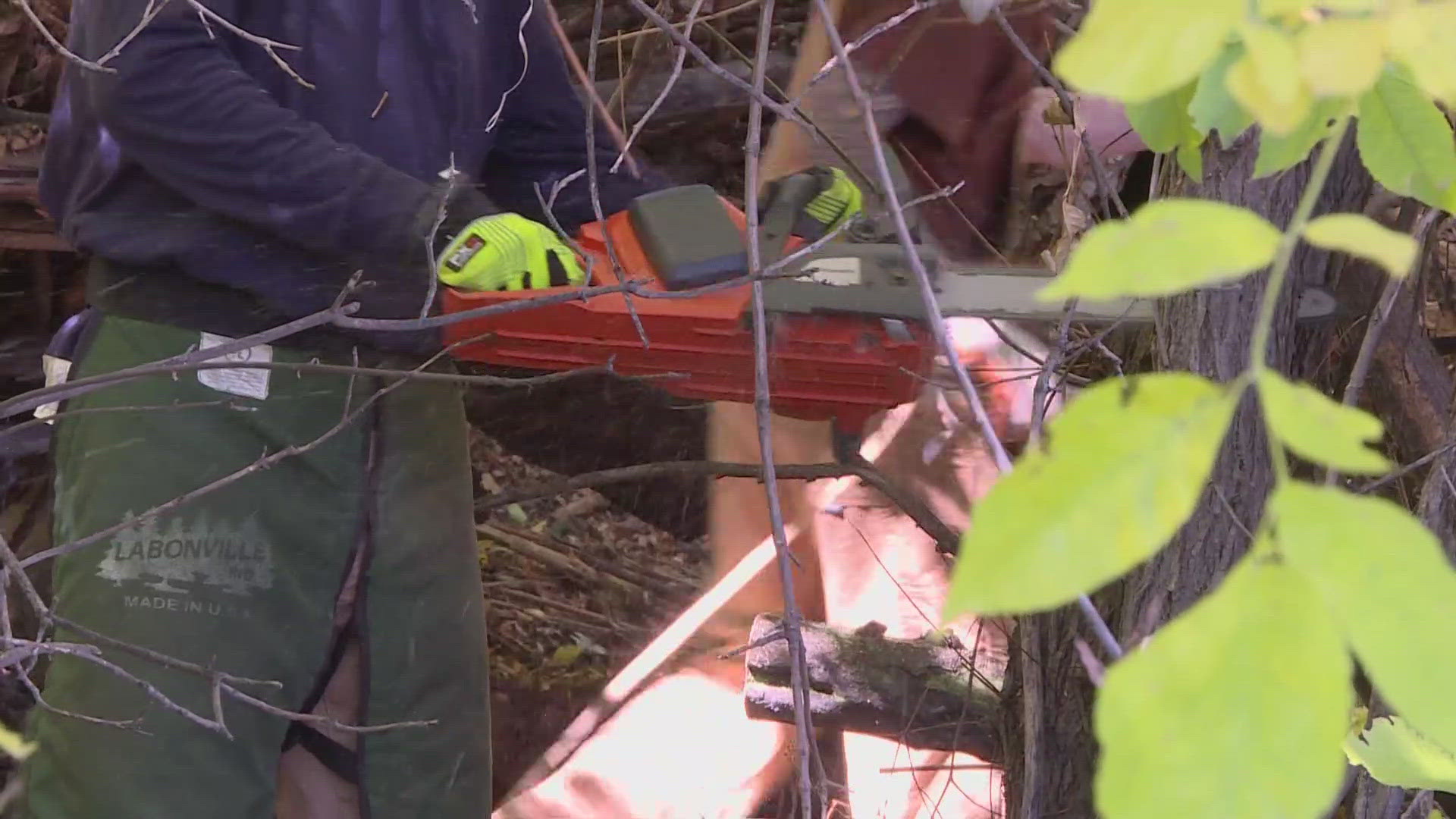 Boulder County boosts wildfire prevention with new program | 9news.com