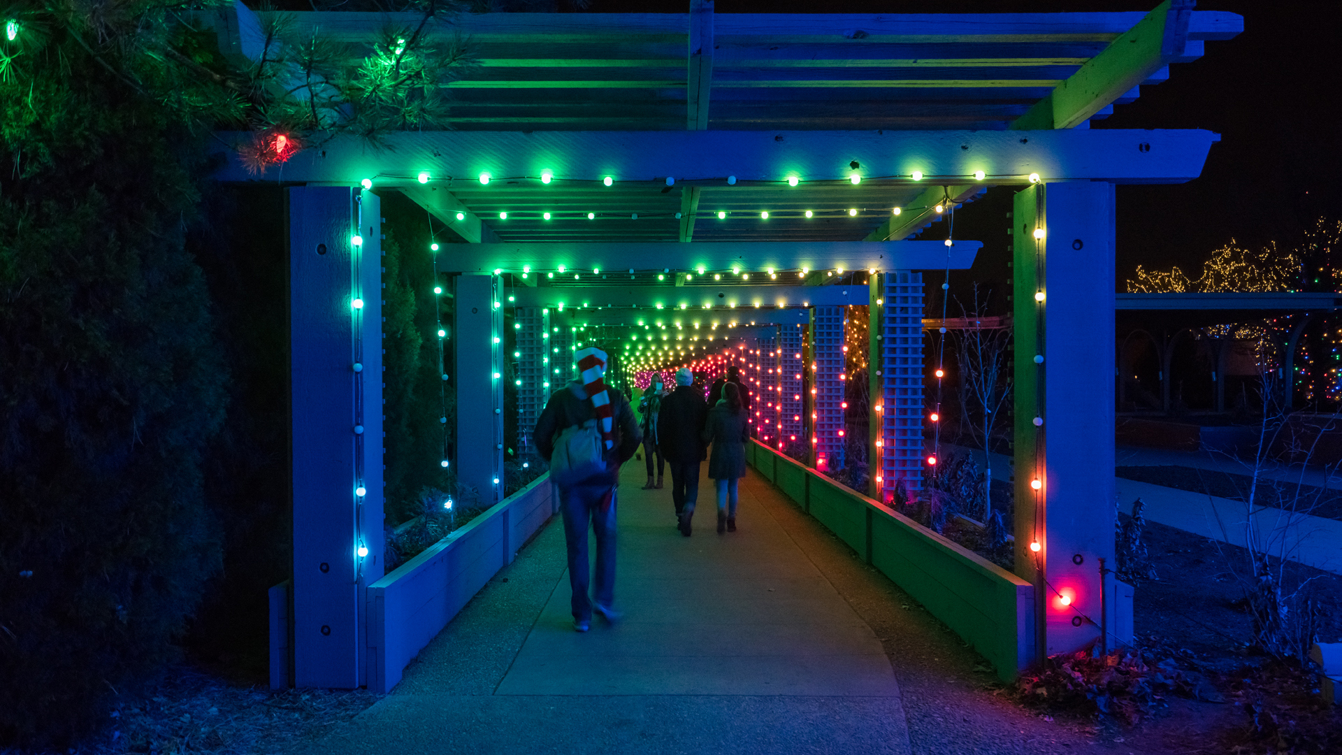 9 Things to do in Denver and Colorado: Best holiday events this weekend ...