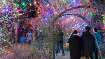 Denver Botanic Gardens sparkles for 2024 Blossoms of Light | 9news.com