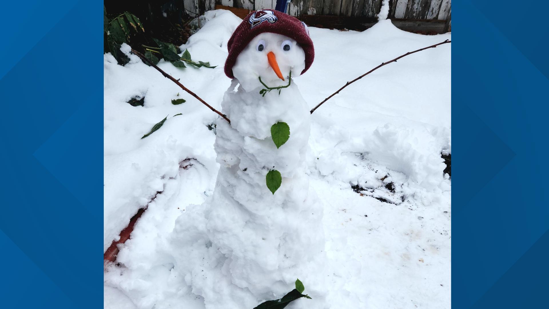 Major winter storm in Colorado: How much snow Denver could get | 9news.com