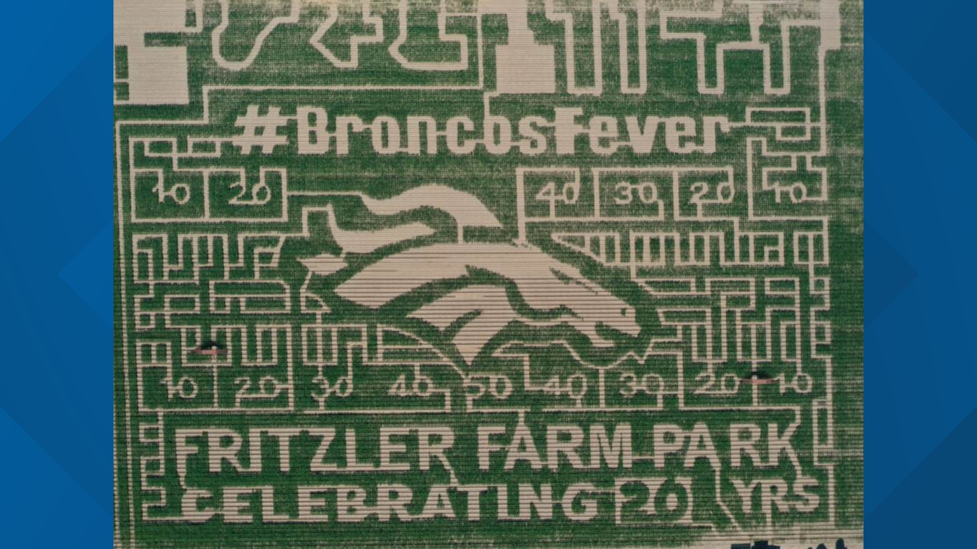 Colorado farm has huge corn maze for 25th anniversary | 9news.com