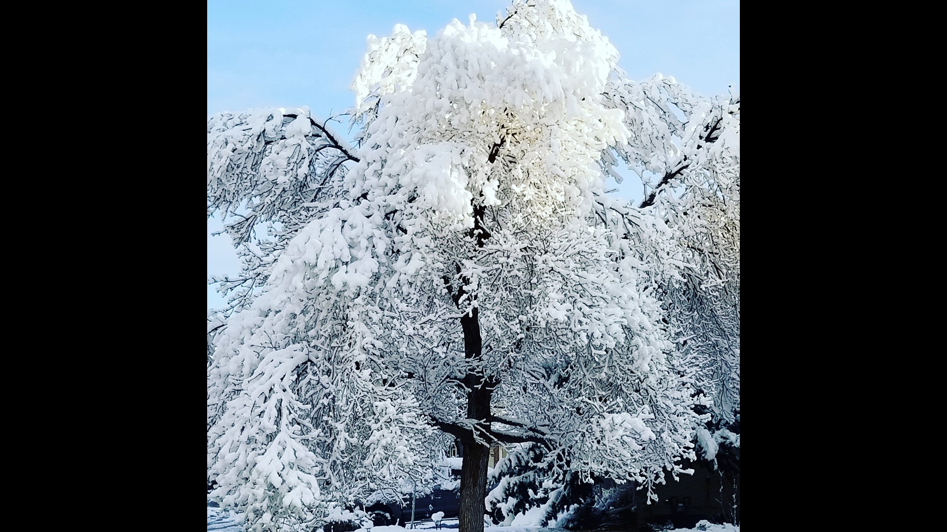 A look at snow totals from late March storm | 9news.com