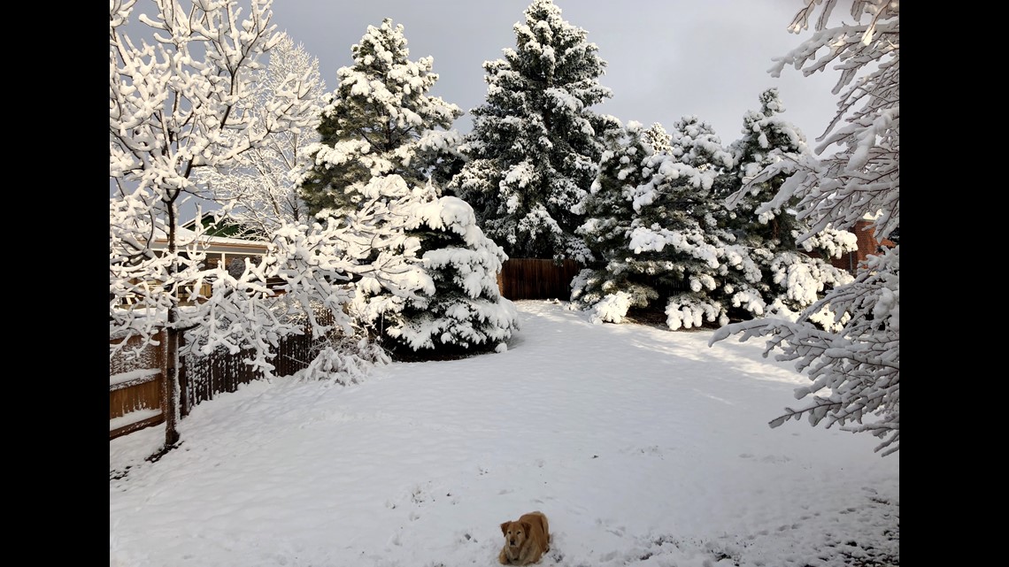 A look at snow totals from late March storm | 9news.com