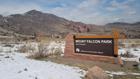 Stegosaurus fossil dinosaur license plate approved in Colorado | 9news.com