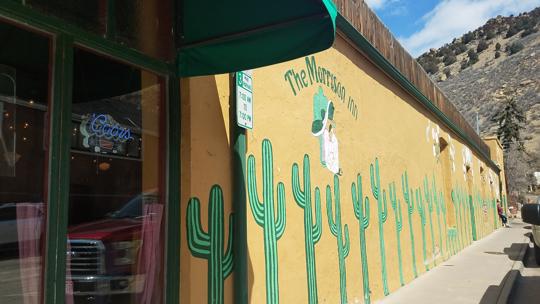 Stegosaurus fossil dinosaur license plate approved in Colorado | 9news.com