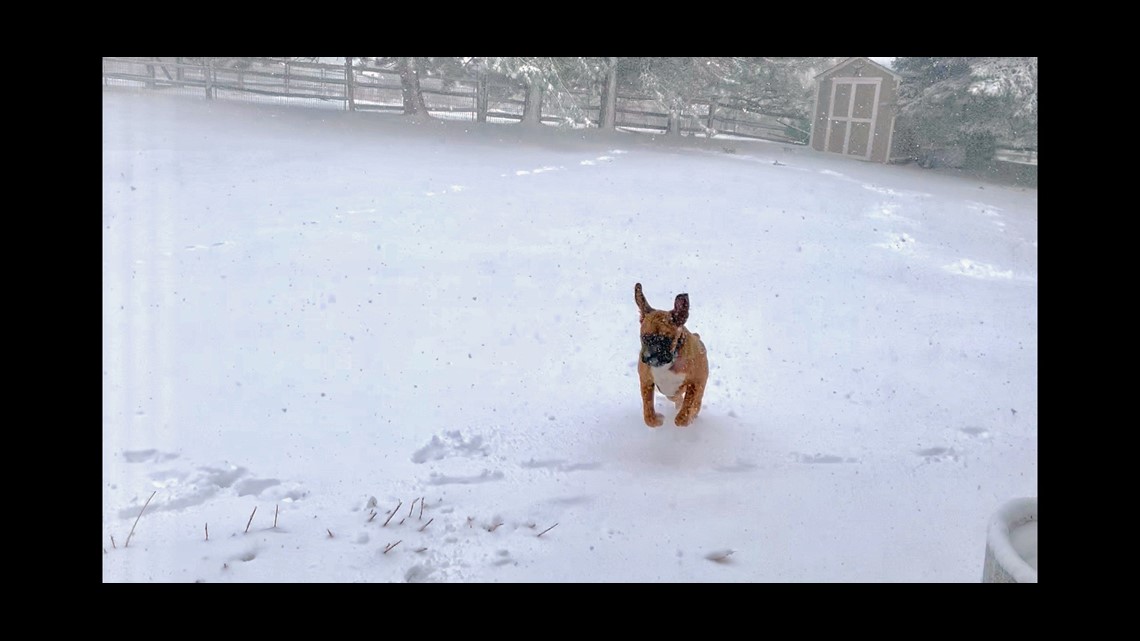 Bomb Cyclone: Colorado's 2019 weather event was the strongest ever ...
