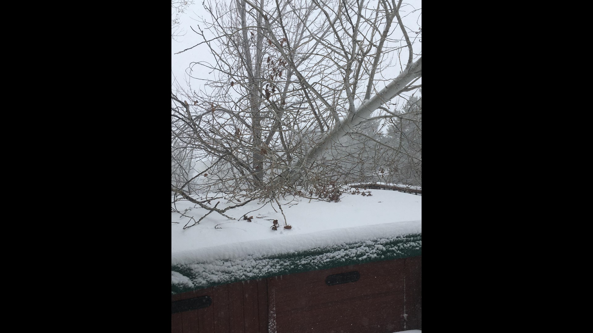 Bomb Cyclone: Colorado's 2019 weather event was the strongest ever ...