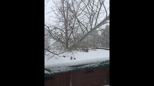 Bomb Cyclone: Colorado's 2019 weather event was the strongest ever ...