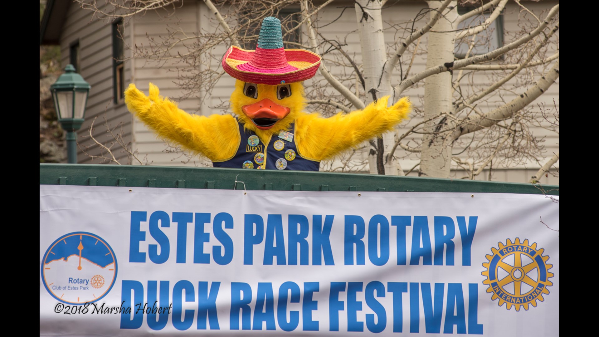Estes Park Duck Race Festival | 9news.com